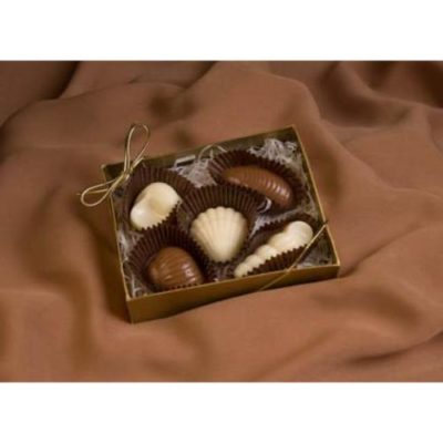 Sea Shell assorted boxed chocolate - Virginia's Finest Chocolates